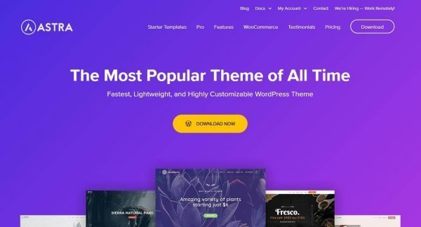10 Best Elementor Themes for WordPress & WooCommerce | EcomSutra